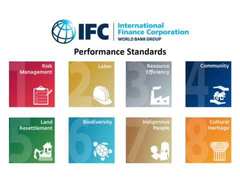 Services - AGV Sustainability | Sustainability & ESG Specialist